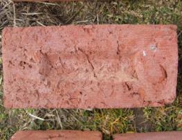 Hand-moulded bricks - BRIGEL